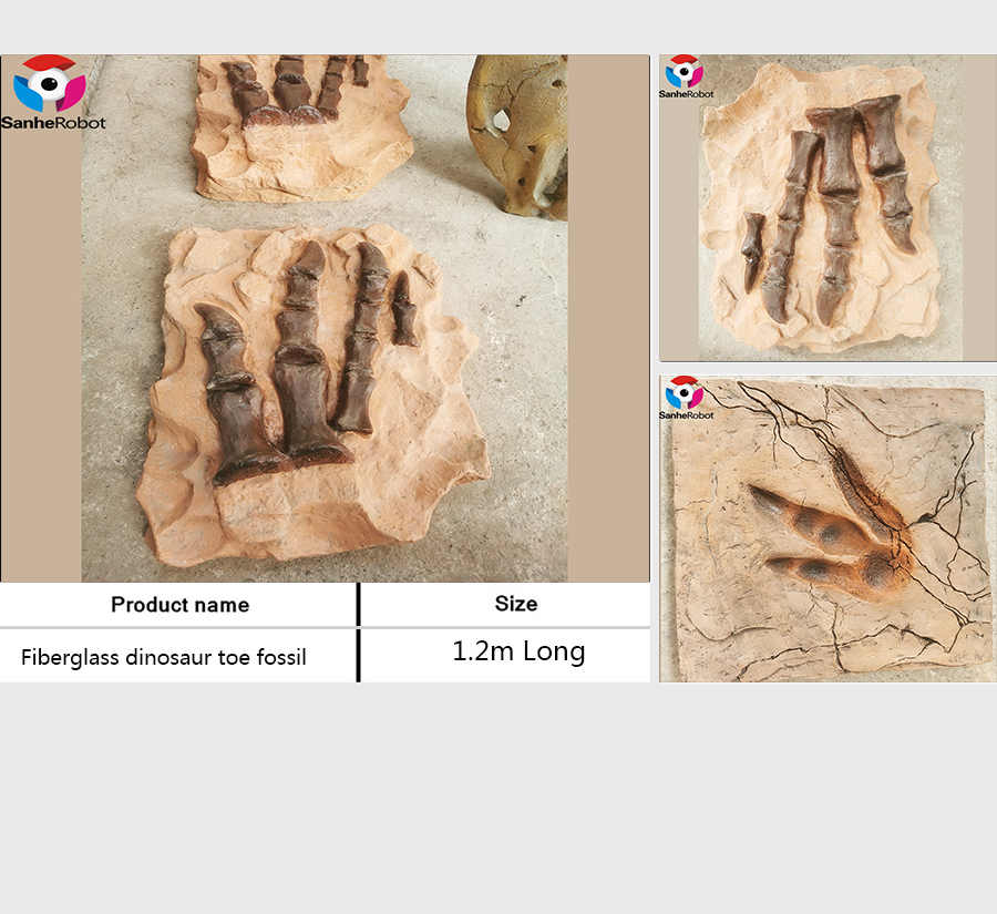 Wholesale Custom Realistic Fiberglass Dinosaur Footprints Replica Model ...